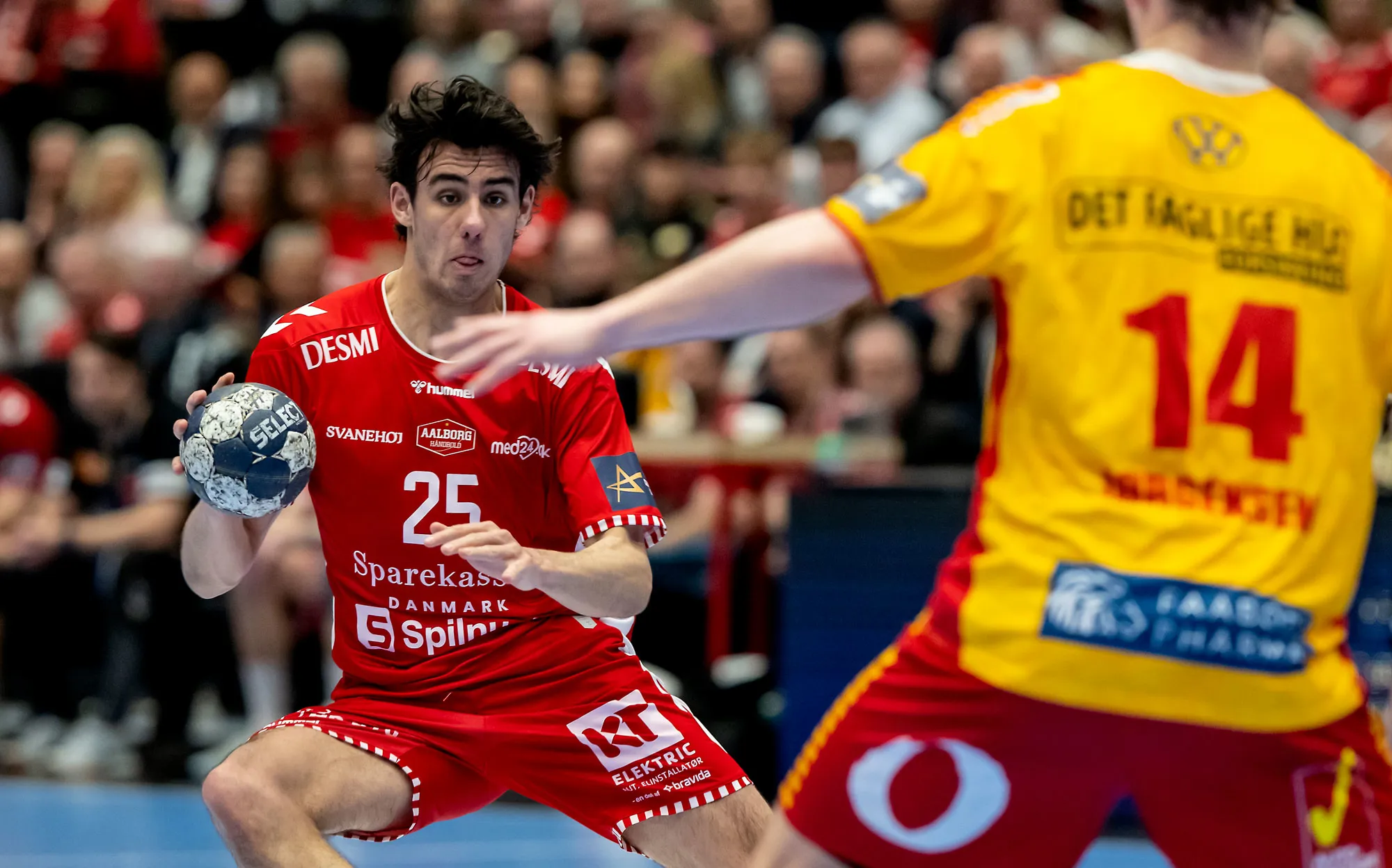 Aalborg defeat GOG in all-Danish play-off